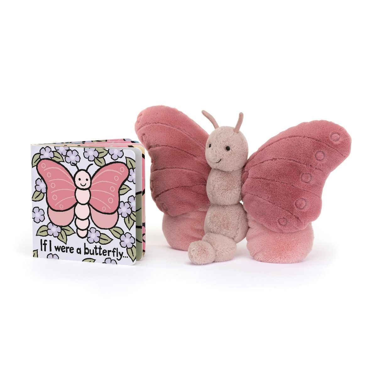 IF I WERE A BUTTERFLY BOOK – Christian and Roy
