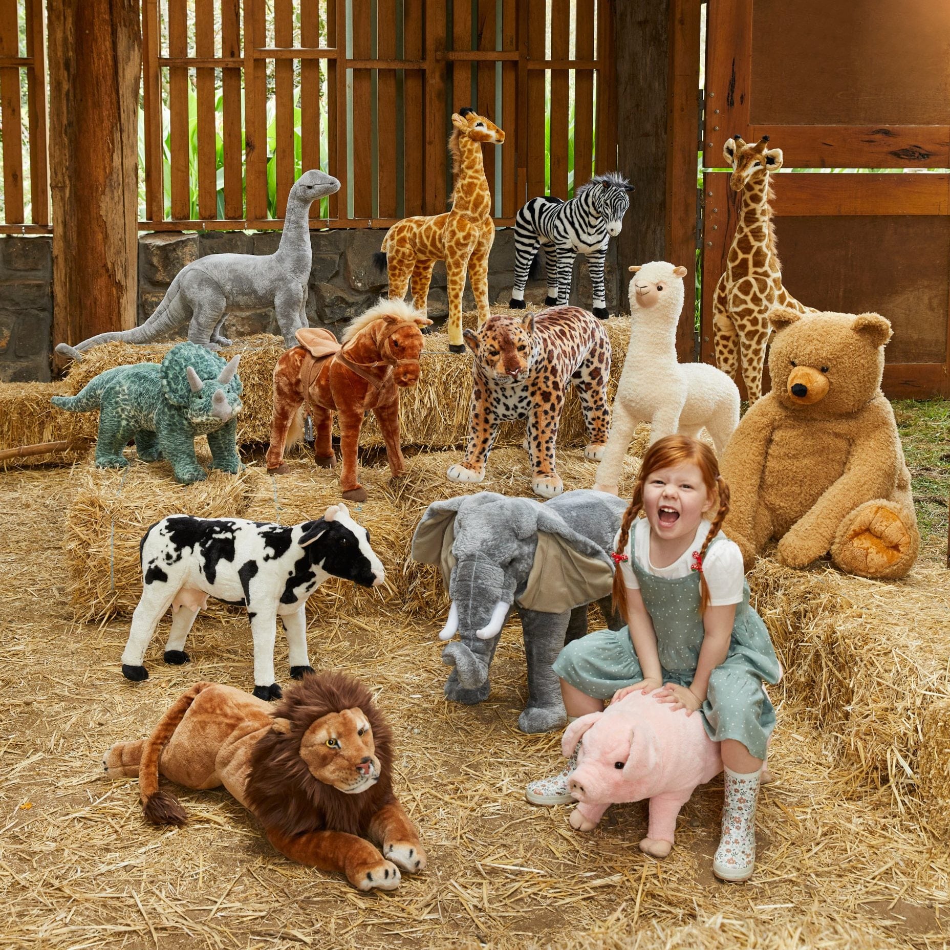 Big Animals – Christian and Roy