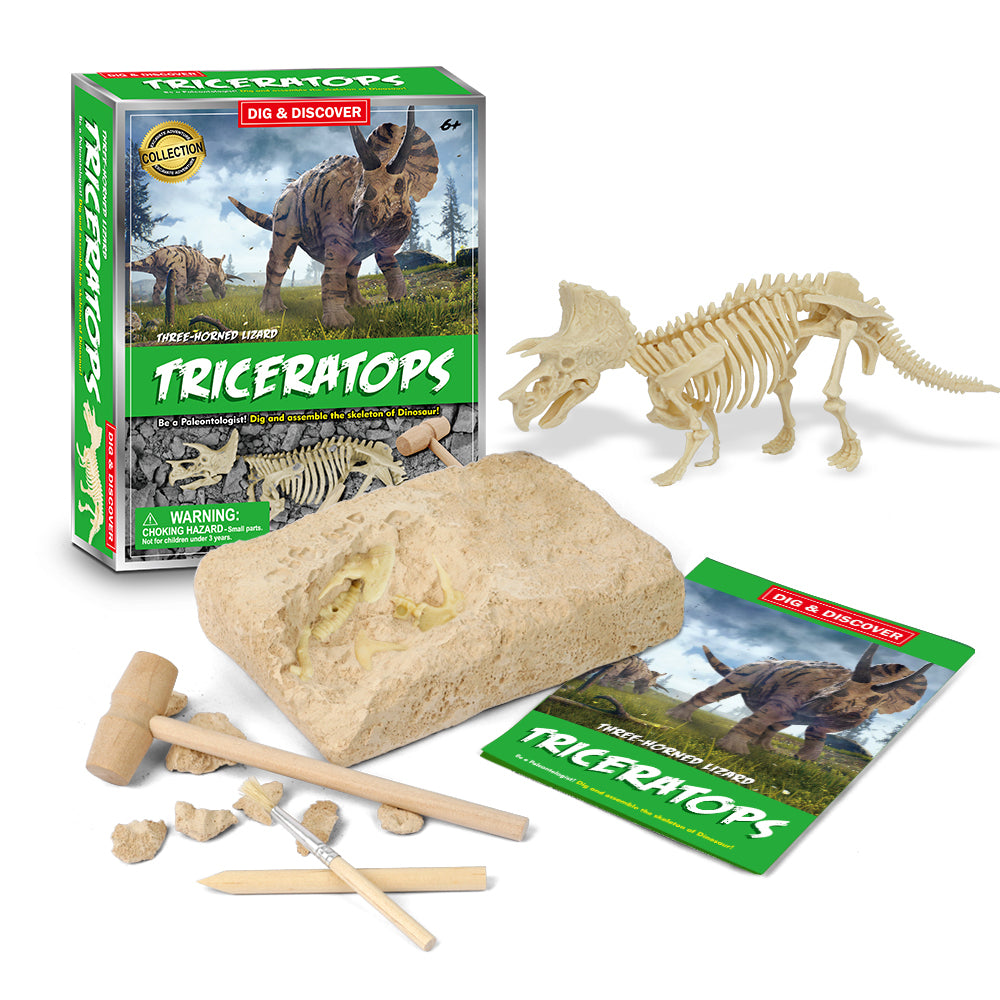 DIG & DISCOVER TRICERATOPS DIG KITS – Christian and Roy